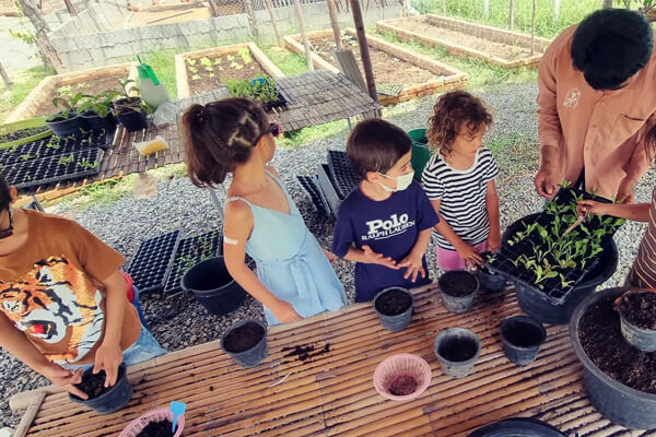 Organic Farm – Parrotdise